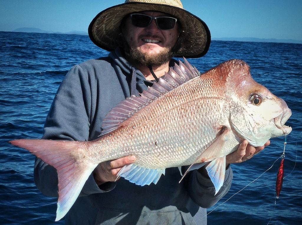 Flat Fall Spotted Zebra Jigs. 5 Pack, 150g, 200g 260g – SLOW JIGS AUSTRALIA